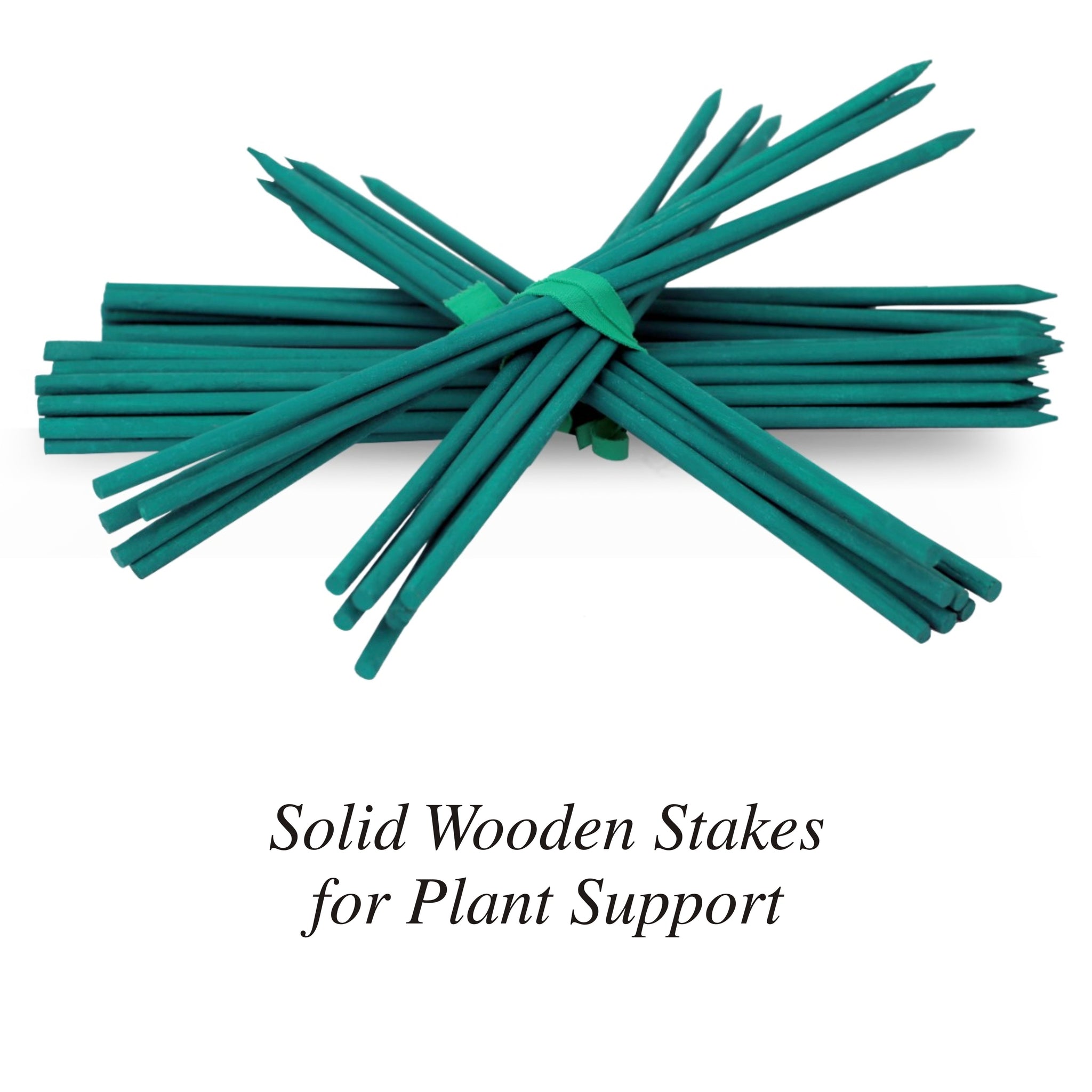 Bloomax Garden Stakes | Plant Support Sticks | Wooden | Pointed ...